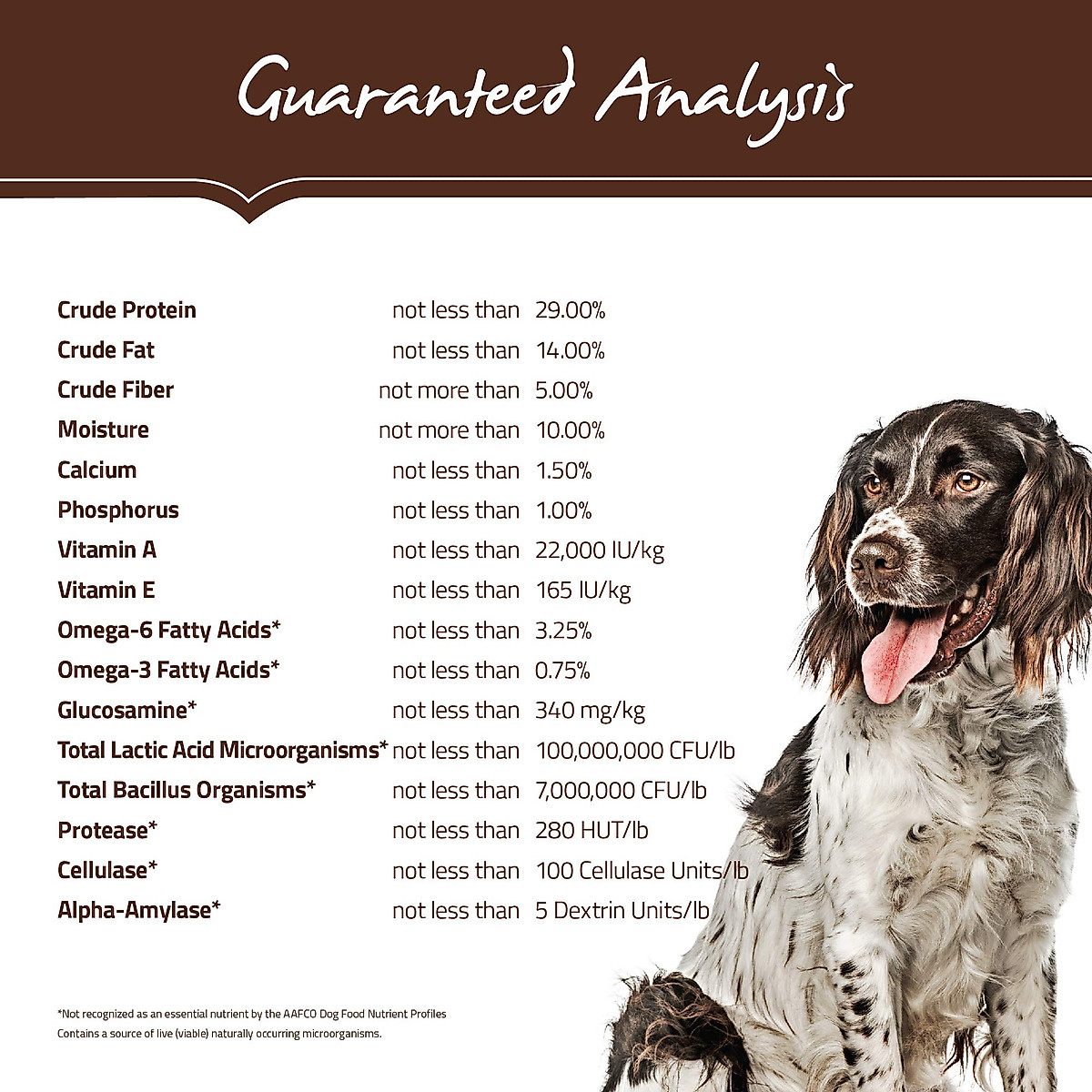 Holistic Select Natural Grain Free Dry Dog Food, Duck Meal Recipe, 4-Pound Bag