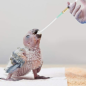 Parrot Feeding Syringe Birds Feeding Hoses, soft birds feeding hose 3pcs Parrot Feeding Hose Tool Birds Feeding Dropper Feeding birds feeding accessory Tube bird feeder Pet Feeder