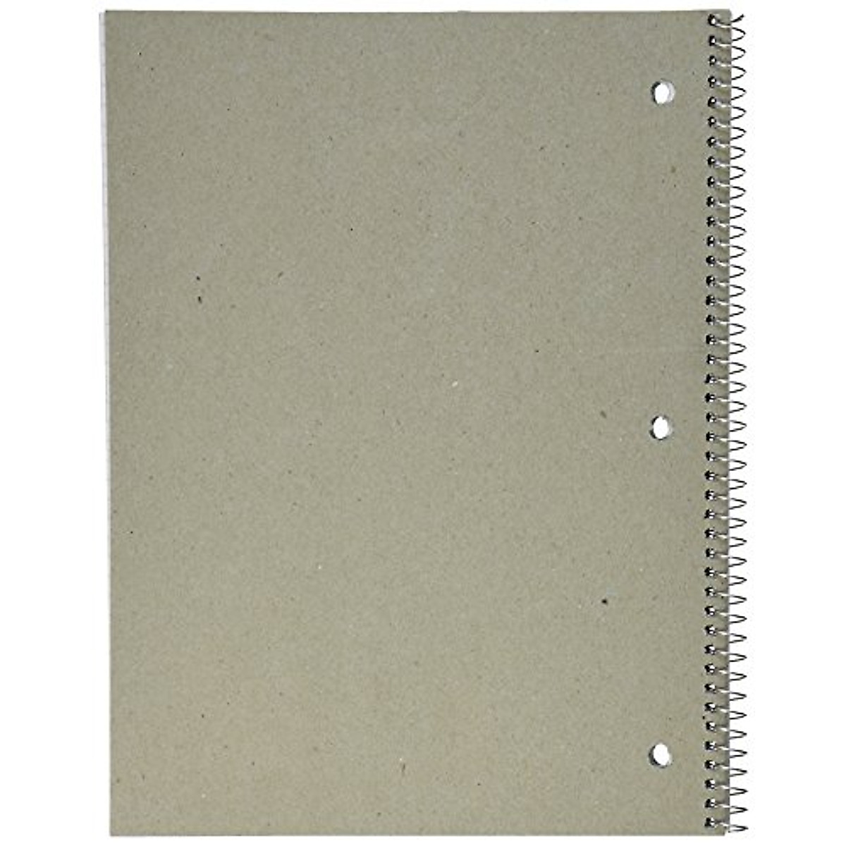 BAZIC Quad-Ruled Spiral Notebook 100 Count, Assorted colors (10 1/2 inches x 8 inches)