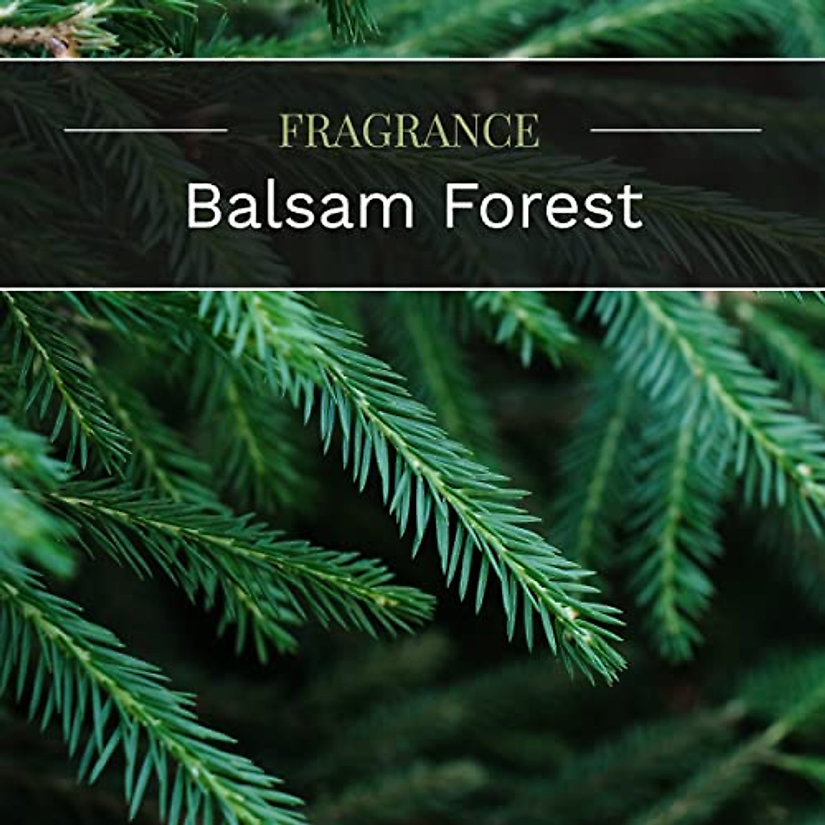 Candle-Lite Everyday Scented Balsam Forest 3-Wick Jar Candle, 10 oz, Green