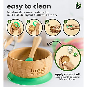 bamboo bamboo ® Suction Bowl for Baby – Bamboo Baby Bowl and Spoon Set with Removable Silicone Suction Cup for Kids | 11.8oz | Non-Toxic | Cool to The Touch | Ideal for Baby-Led Weaning (Green)
