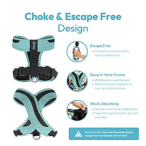 Gooby Comfort X One Dog Harness - Step-in Dog Harness for Small & Medium Sized Dogs - Escape-Free & Choke Free - Breathable Mesh, Shock Absorbing, Easy Snap & Swivel Buckles - Flamingo Pink, Small