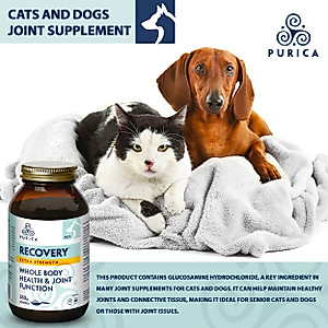 PURICA Recovery SA Powder 350g - Advanced Support for Joints, Comfort & Mobility in Dogs & Cats - Natural & Safe Supplement