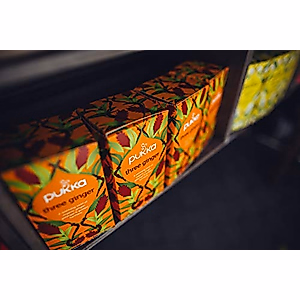 Pukka Three Ginger, Organic Herbal Tea With Turmeric & Galangal, Perfect for After Meals, 20 Count (3 Pack)