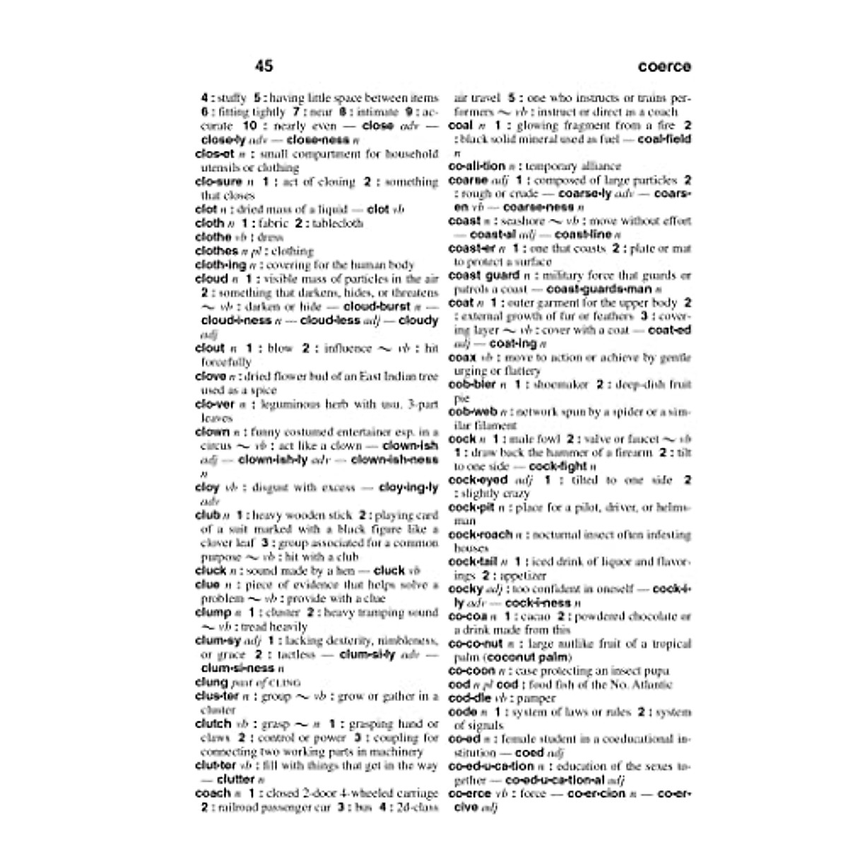 Webster's Dictionary & Thesaurus, Newest Edition