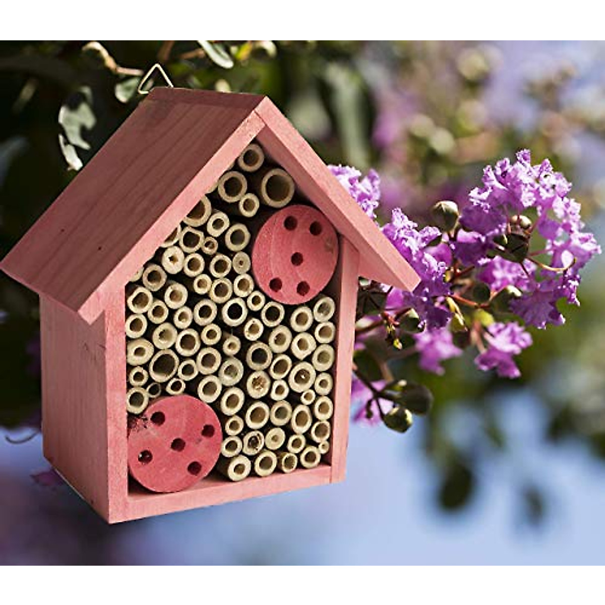 Rose Pink and Green Mason Bee House for The Garden Bundle - Lifetime Replacement Guarantee