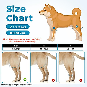 Ceuku Dog Knee Brace for ACL Hind Leg, Dog Leg Braces for Back Leg with Metal Spring Support, ACL Brace for Dogs Rear Leg Tear CCL with Dog Pull Collar, Support for Medium and Large Dogs（Size XL）