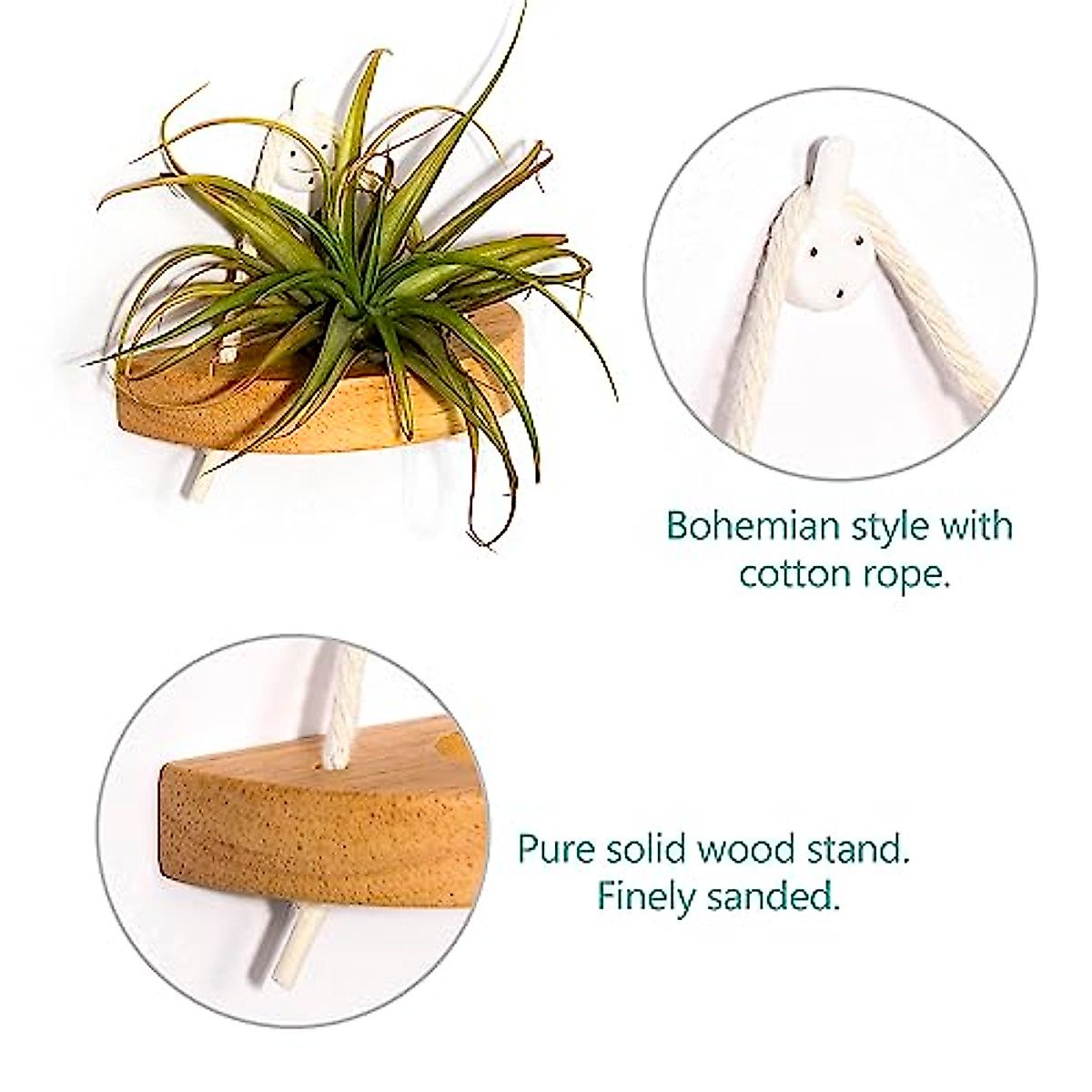 MITIME air plant holder, small air plant display stand. Wall mount to save space, wall decoration. (Plants not included) (Set of 6)