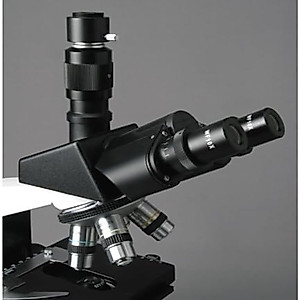 AmScope T490B-DK Compound Trinocular Microscope, WF10x and WF20x Eyepieces, 40X-2000X Magnification, Brightfield/Darkfield, Halogen Illumination, Abbe Condenser, Double-Layer Mechanical Stage, Sliding Head, High-Resolution Optics