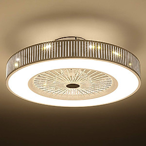 YIYIBYUS 23.5-Inch Modern Fan Chandelier LED 3 Colors 3 Speed with Remote Control Ceiling Fan Ceiling Light Mute Suitable for Living Room, Bedroom, Dining Room (white and black) (21.65 Inch White)