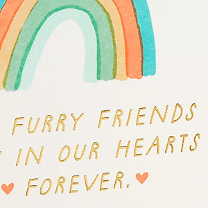 Hallmark Pet Sympathy Cards Assortment, Hearts and Rainbows (16 Cards and Envelopes)