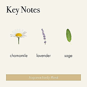 LAFCO New York Classic Candle, Chamomile Lavender - 6.5 oz - 50-Hour Burn Time - Reusable, Hand Blown Glass Vessel - Made in The USA