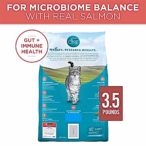 Purina ONE Natural Dry Cat Food, Tender Selects Blend With Real Salmon - 3.5 lb. Bag