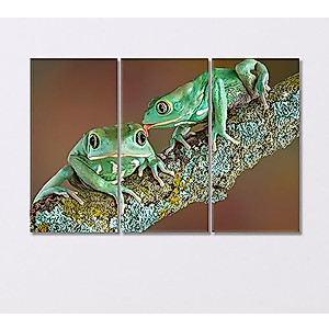 Pair of Wax Frogs Canvas Print 5 Panels / 36x24 inches
