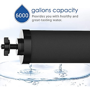 DEW FILTERS UK | BB9-2 Black Water Filter Purification Compatible Elements | PLUS PRIMER BUTTON | Traveler, Nomad, King, Big Series & Doulton Super Sterasyl | Gravity Purifier Filters