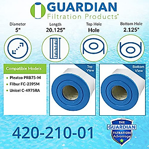 Guardian Pool Spa Filter Replacement for: C-4975, C4975, PRB75, FC-2395 Rainbow RTL-75