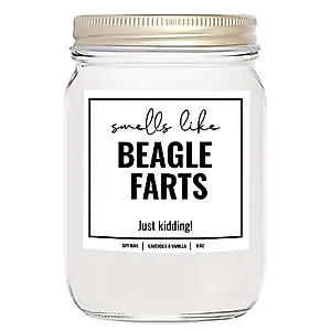 YouNique Designs Smells Like Beagle Farts Soy Candle 8oz - Dog Farts Candle Beagle Gifts for Beagle Lovers - Beagle Gifts for Women, Men - Beagle Dad Gifts, Dog Mom Gifts (Lavender & Vanilla)