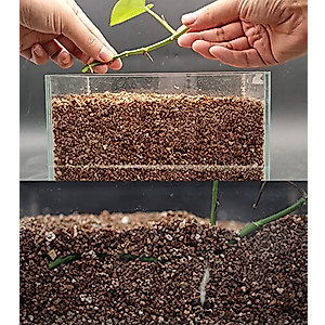 Organic Vermiculite 1 qt by Doter, Increases Water and Nutrient Retention and Aerates The Soil, Perfect for Root Cuttings, Seed Germination, Arranging Flowers, and Bedding for Invertebrates