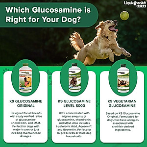 LIQUIDHEALTH 32 Oz K9 Vegetarian Liquid Glucosamine for All Dogs Canines - Chondroitin, MSM, Omega 3, Anti Oxidants Hyaluronic Acid – Joint Health, Dog Vitamins Hip Joint Juice, Joint Oil