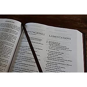 Biblia Bilingüe Reina Valera 1960/ ESV Spanish/English Parallel Bible (English a nd Spanish Edition): Brown Hardcover