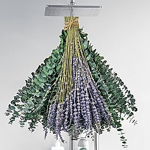 125 PCS Preserved Dried Eucalyptus Stems Bundles with Dried Lavender for Shower, 17'' Natural Shower Eucalyptus Leaves Hanging Lavender Shower Plants for Home Spa Fragrance Aromatherapy Bathroom Decor