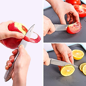 WELLSTAR Sharp Kitchen Knives 5 Piece Set, Chef Carving Bread Utility Paring Knife + Come Apart Heavy Duty Chicken Meat Scissors Shears with German Stainless Steel Blade + Universal Knife Block Holder