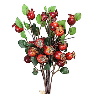 Group of 5 Artificial Rosehip Berries Simulation Pomegranate Fruit Floral Accessories (Red)