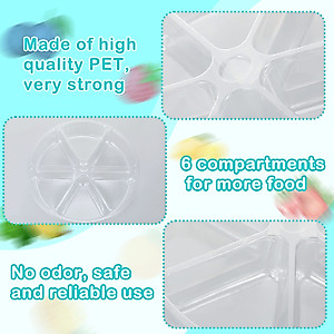 Baderke 10 Pack 10 Inches Round Plastic Serving Tray 6 Sectional Plastic Appetizer Tray with Lid Clear Food Platters Round Platter Container Veggie Fruit Organizer for Party and Buffet (Clear)