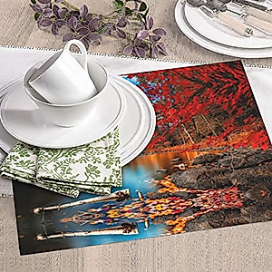 killarney national park Printed Drying Mat For Kitchen Ultra Absorbent Microfiber Dishes Drainer Mats Non-Slip Silicone Quick Dry Pad - 18 X 16inch