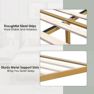 HIFIT Queen Size Bed Frame, Queen Bed Frame with Headboard, Heavy Duty Metal Foundation, Upholstered Bed Frame with Velvet Tufted Headboard, Wood Slat Support, No Box Spring Needed, Gold & Ivory White