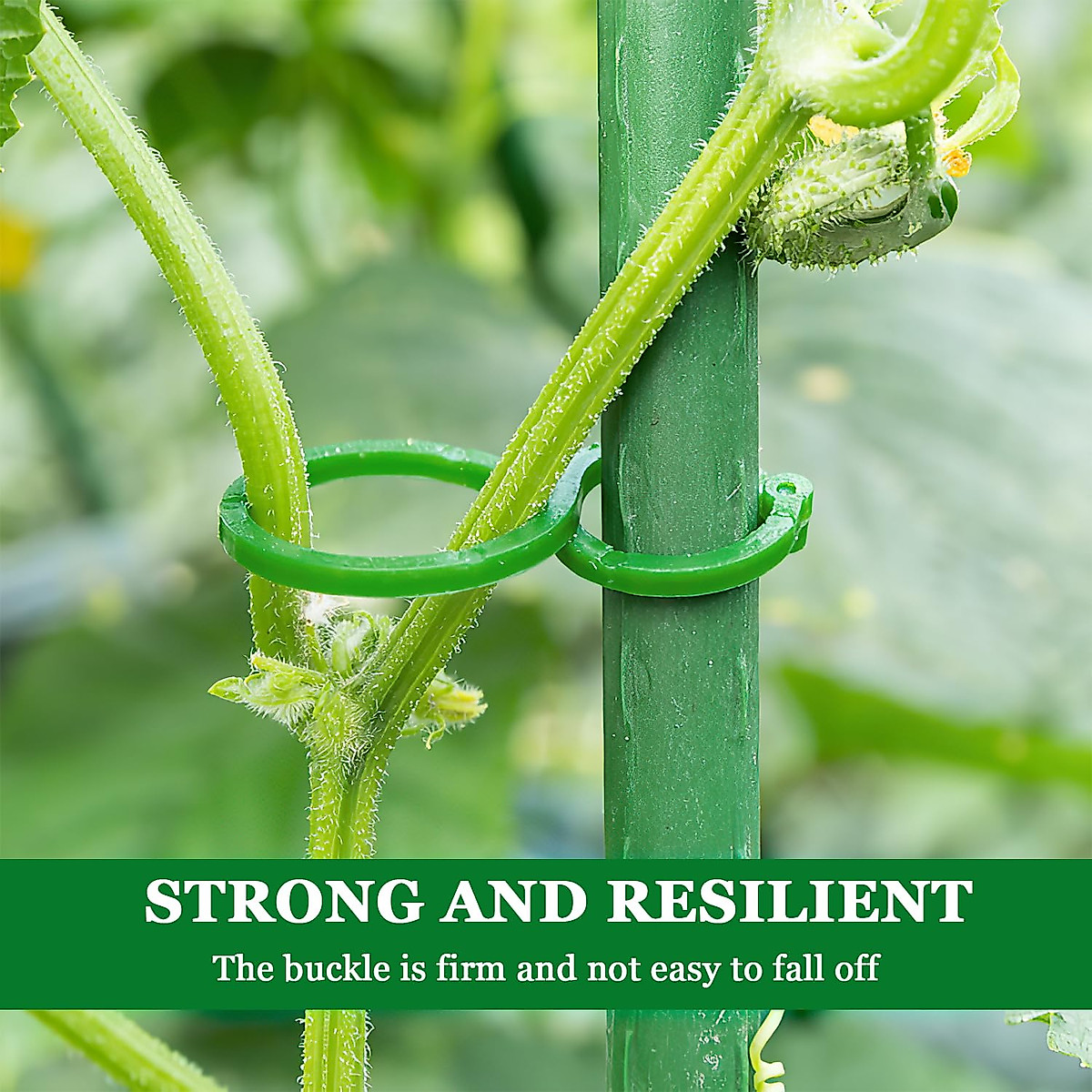 Generic 100 PCS Plant Support Clips for Climbing Plants Outdoor, Tomato Plant Support Vine Clips Plant Flower Lever Loop Gripper Fixing Clips, Secured Plastic Plant Clips Reusable Garden Clips