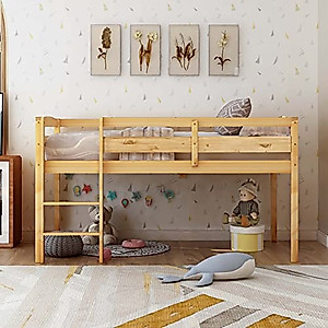 OTRIEK Twin Size Low Wood Loft Bed Frame with Ladders and Guard Rails for Boys Girls and Junior, No Box Spring Needed, Under Bed Storage (Walnut)