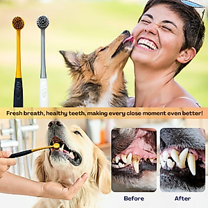 Pilopgaso Dog Toothbrush 4Pack Round Head Dog Tooth Brush Kit, Toothbrush for Dogs Soft Pet Toothbrush for Sensitive Teeth Small Dog Toothbrush mit Anti-Slip Rubber Handle for Pet Plaque Dental Care
