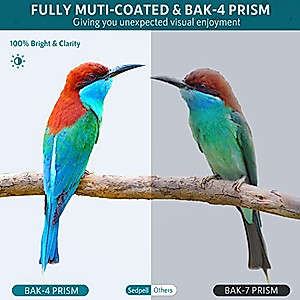 Sedpell HD Binoculars for Adults, High Power Binoculars with BaK4 prisms, IPX7 Waterproof with Phone Adapter Lightweight with Carrying Case and Strap Perfect for Bird Watching, Hunting, Travel