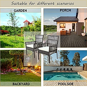 LOKATSE HOME 2 Pieces Outdoor Wicker Chair Metal Dining Armchairs with Cushion, Beige