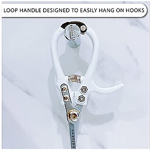 LOOPSEED Plant Pruning Shears Garden Trimming Scissors Precision Hand Pruner Herb Snips Flower Clippers Bonsai Trimmers Straight Sharp Blade Tapered Tip Ergonomic Handle Modern Garden Tools