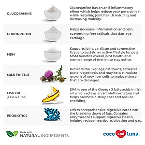 10 in 1 Multivitamin for Dogs - 120 Chewable Tablets - Hip and Joint Support with Glucosamine and Chondroitin - Omega Fish Oil & Vitamins with Coq10 for Skin & Heart Health, Gut & Immune Support