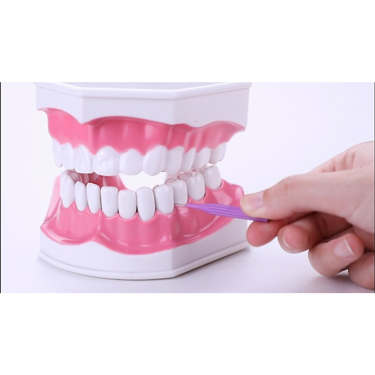 Patelai 100 Pieces Braces Brush for Cleaner Interdental Brush Toothpick Dental Flossing Head Oral Hygiene Flosser Tooth Cleaning Tool (Stylish Colors)