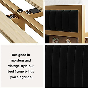 HIFIT King Size Bed Frame, King Bed Frame and Headboard, Heavy Duty Metal Foundation, Upholstered Bed Frame with Velvet Tufted Headboard, Wood Slats Support, No Box Spring Needed, Gold and Black