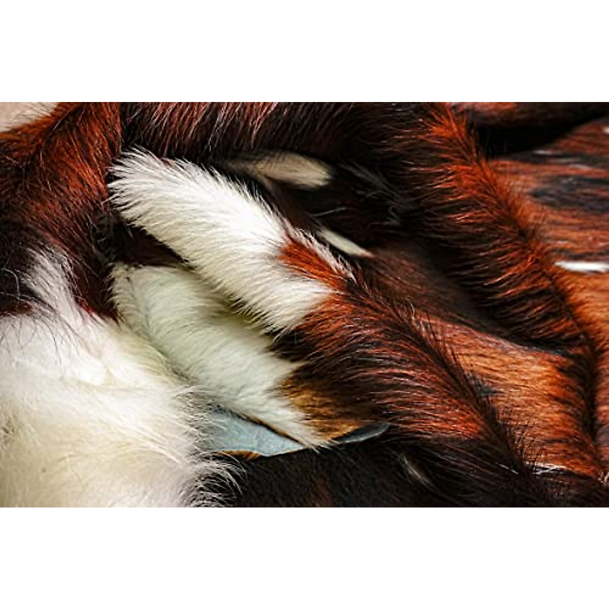bonanza leathers Genuine Cowhide Rug Classic Tricolor Size S/L/XL 5X6/6X7/7X8 FT (L)