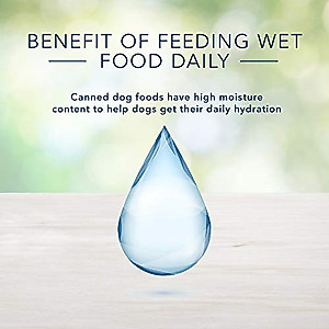 Blue Buffalo Freedom Grain Free Natural Puppy Wet Dog Food, Chicken 12.5oz cans (Pack of 12)