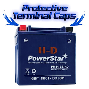 PowerStar FAYTX14 Battery Replaces YTX14-BS CYTX14-BS YTX14BS GTX14-BS, SEALED GEL AGM