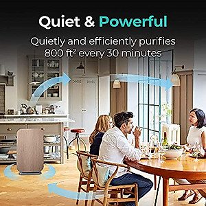 Alen BreatheSmart 45i Quiet HEPA Air Purifier, 800 SqFt Medical Grade Filtration, 99.9% Particle Removal, Allergies, Dust, Mold, Household Odor, Smoke, Long Filter Life, Weathered Gray