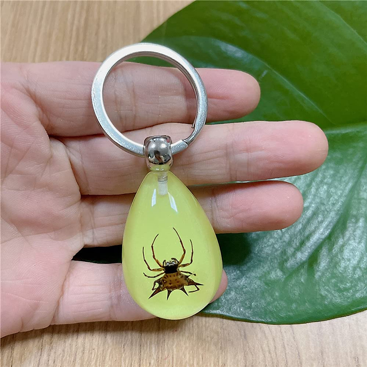 QTMY 6 Pack Insect in Resin Specimen Collection Luminous Glow in The Dark Keychain Keyring ,Halloween Christmas Science Classroon Decor Kits Set Education