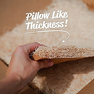 Eaton Pet and Pasture, Premium Laying Hen Nesting Pads, USA Grown & Sustainably Harvested, 13 x 13 (10 Pack)