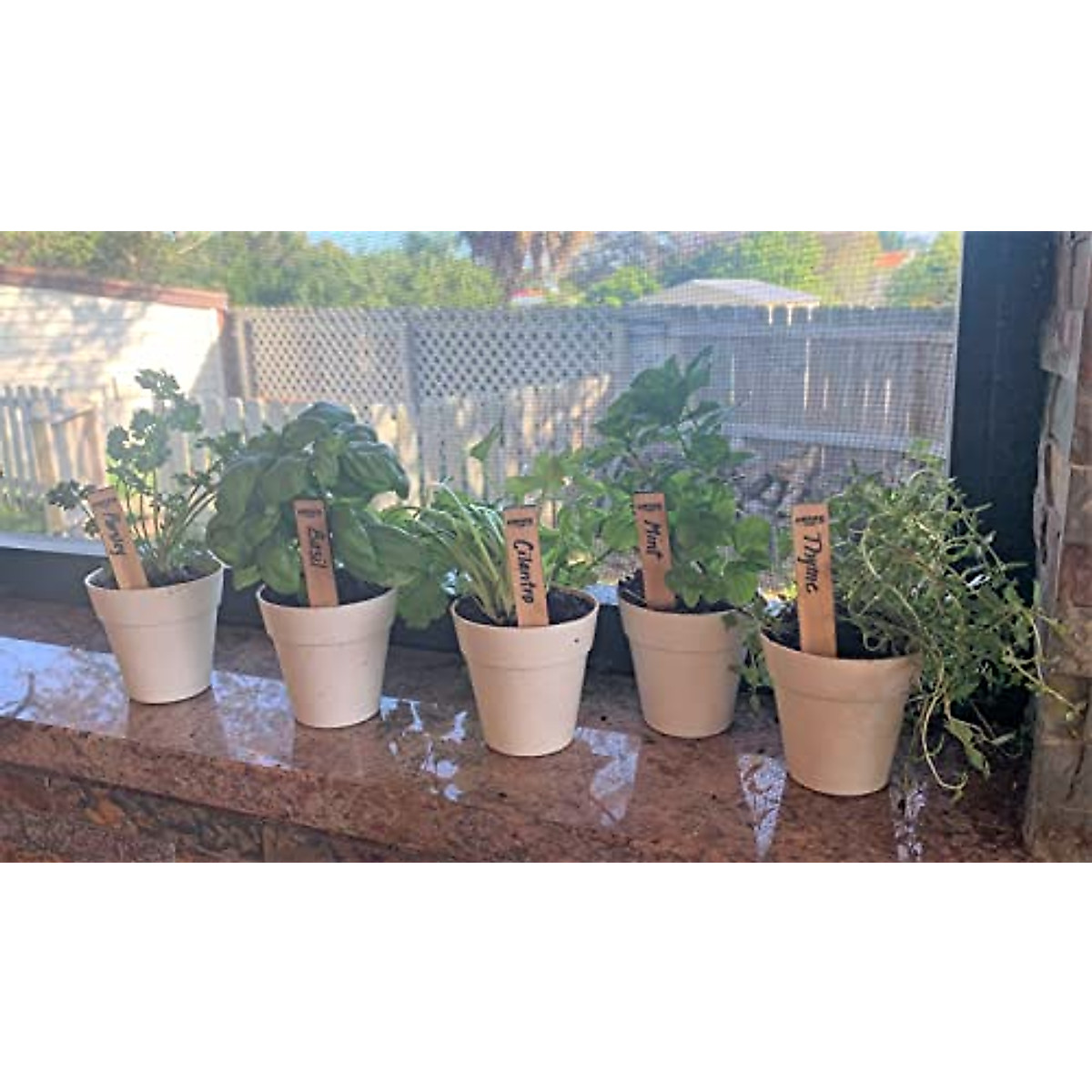 Awake Farms Indoor Herb Garden Seed Starter Kit – Indoor Grow Kit with Bamboo Pots, Soil Discs, Moisture Meter, Plant Markers, Seeds - Herb Seeds Variety Pack Indoor – Ideal for Balcony, Windowsill