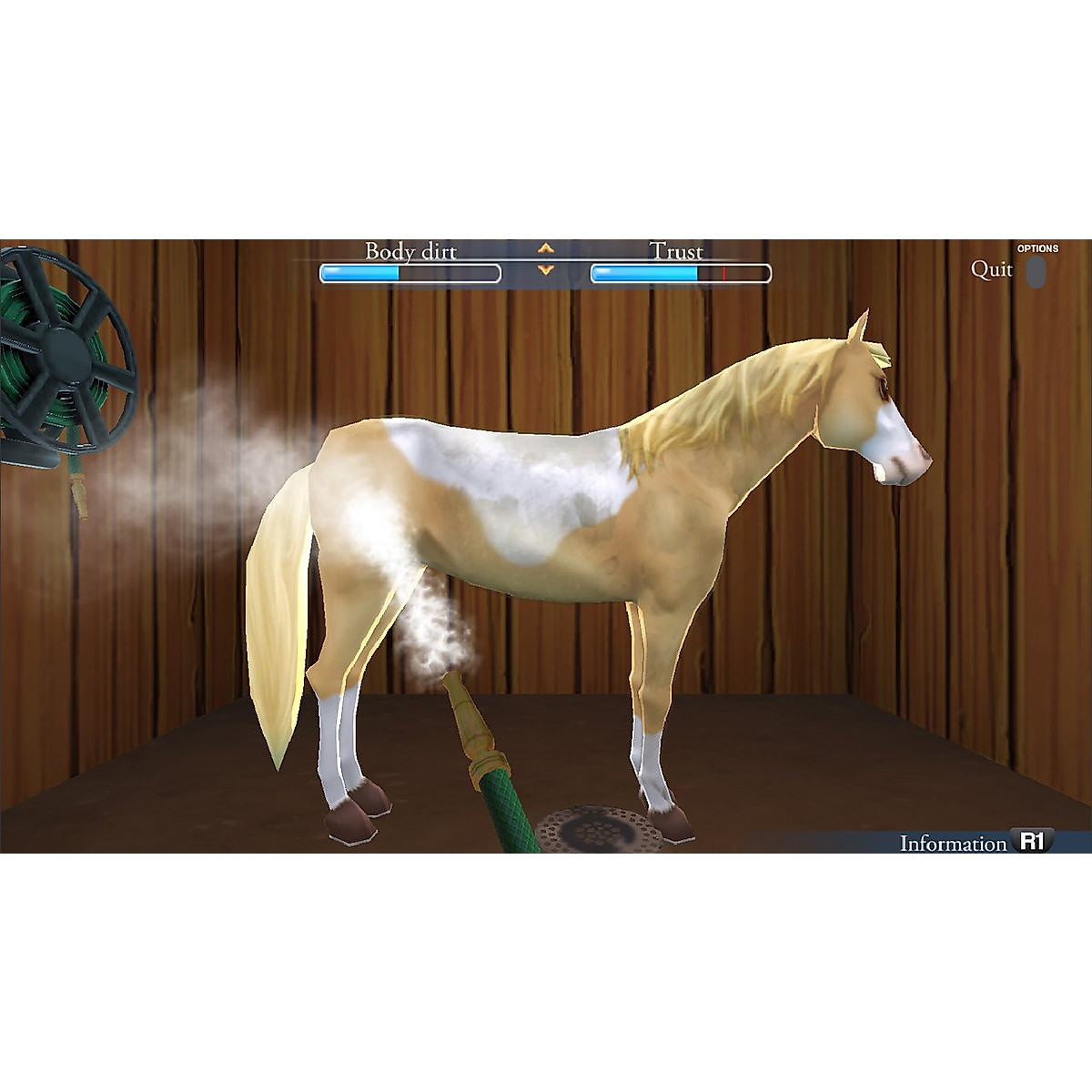 My Riding Stables - Life with Horses - PlayStation 4