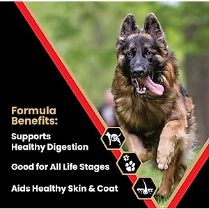 Victor Super Premium Dog Food – High Energy Dry Dog Food for Active Dogs – Gluten Free Dog Food with Beef and Chicken Meal Proteins for Sporting Dogs – All Breeds and All Life Stages, 15 Lb