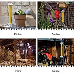 Trappify Hanging Fly Traps Outdoor: Fruit Fly Traps for Indoors | Fly Catcher, Gnat, Mosquito, & Flying Insect Catchers for Inside Home - Disposable Sticky Fly Trap for Indoor House Pest Control (2)