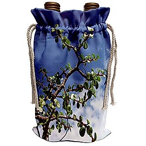 3dRose Susans Zoo Crew Bonsai - Bonsai portulacaria afra tree 2 - Wine Bag (wbg_182077_1)